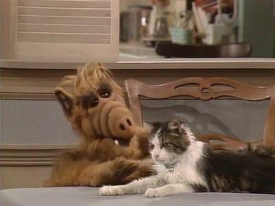 ALF (S01E03): Looking for Lucky Summary - Season 1 Episode 3 Guide