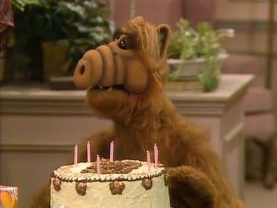 ALF (S01E03): Looking for Lucky Summary - Season 1 Episode 3 Guide