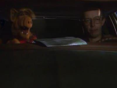 ALF (S01E03): Looking for Lucky Summary - Season 1 Episode 3 Guide