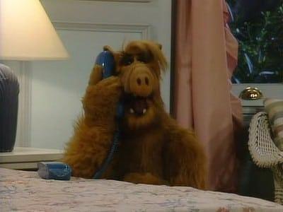 ALF (S01E03): Looking for Lucky Summary - Season 1 Episode 3 Guide