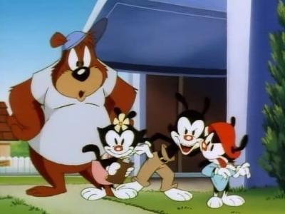 Animaniacs (S01E13): Temporary Insanity Summary - Season 1 Episode 13 Guide