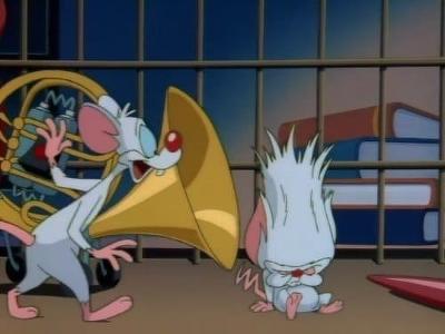 Animaniacs (S01E156): Mermaid Mindy Summary - Season 1 Episode 156 Guide