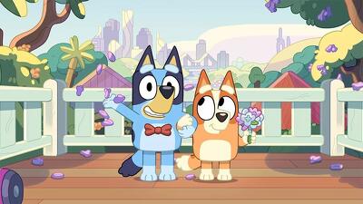 Bluey (S02E21): Escape Summary - Season 2 Episode 21 Guide