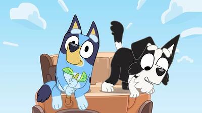 Bluey (S02E21): Escape Summary - Season 2 Episode 21 Guide