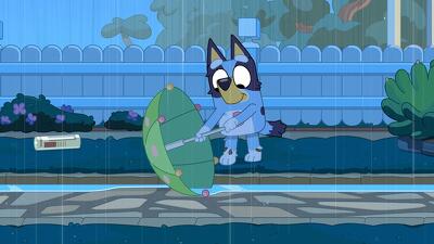 Bluey (S03E50): Surprise! Summary - Season 3 Episode 50 Guide