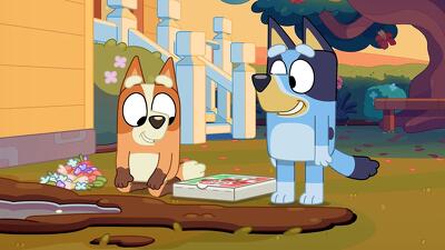 Bluey (S03E41): Stickbird Summary - Season 3 Episode 41 Guide