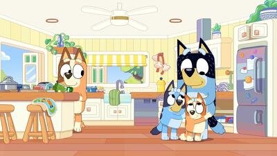 Bluey (S03E50): Surprise! Summary - Season 3 Episode 50 Guide