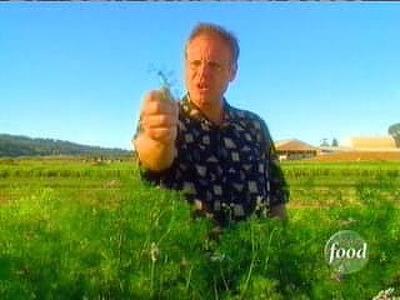 Good Eats (S07E04): The Muffin Man Summary - Season 7 Episode 4 Guide