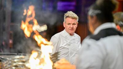 Hell's Kitchen (US) (S23E13): Five Comedians Walk Into Hell... Summary ...