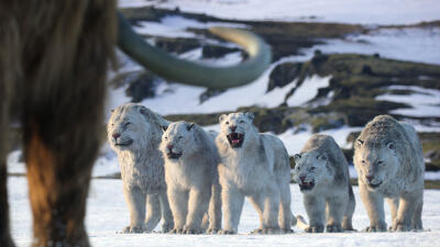 Life on Our Planet (S01E01): Chapter 1: The Rules of Life Summary ...