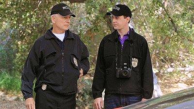 NCIS (S10E11): Shabbat Shalom Summary - Season 10 Episode 11 Guide