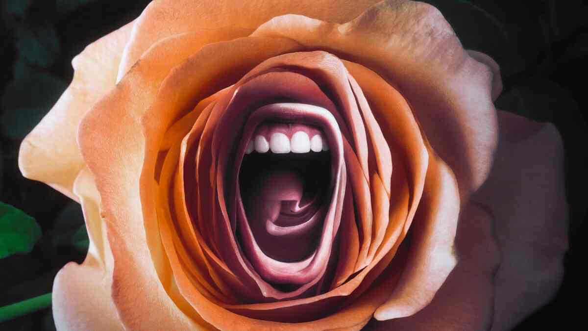 Roar Show Summary and Episode Guide and Schedule. Is Roar Renewed or ...